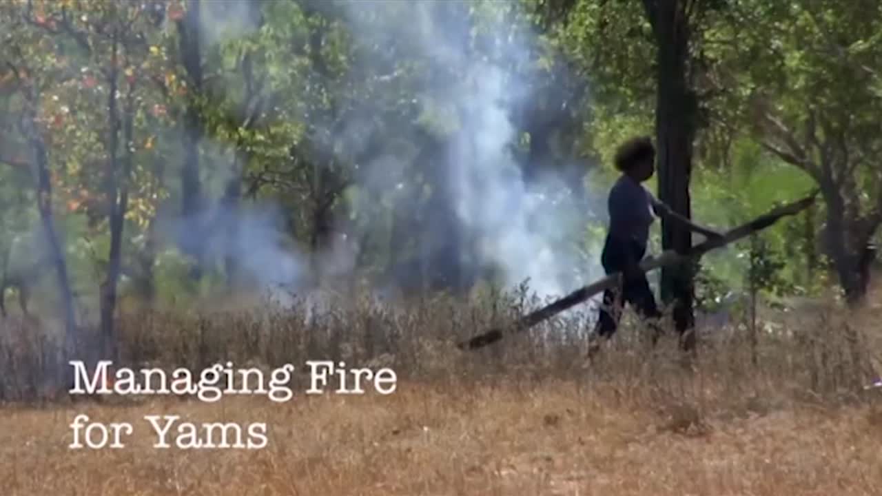 Managing Fire for Yams