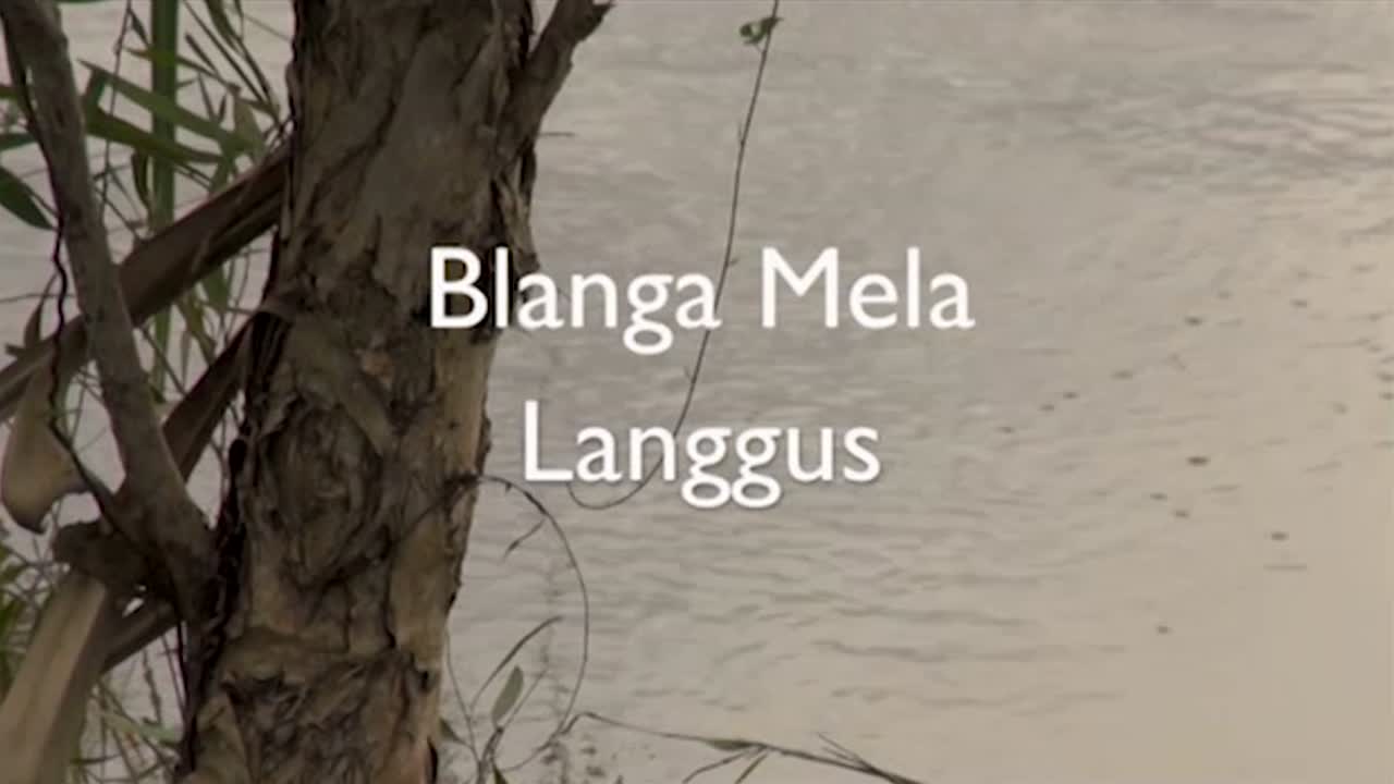 Blanga Mela Langgus
