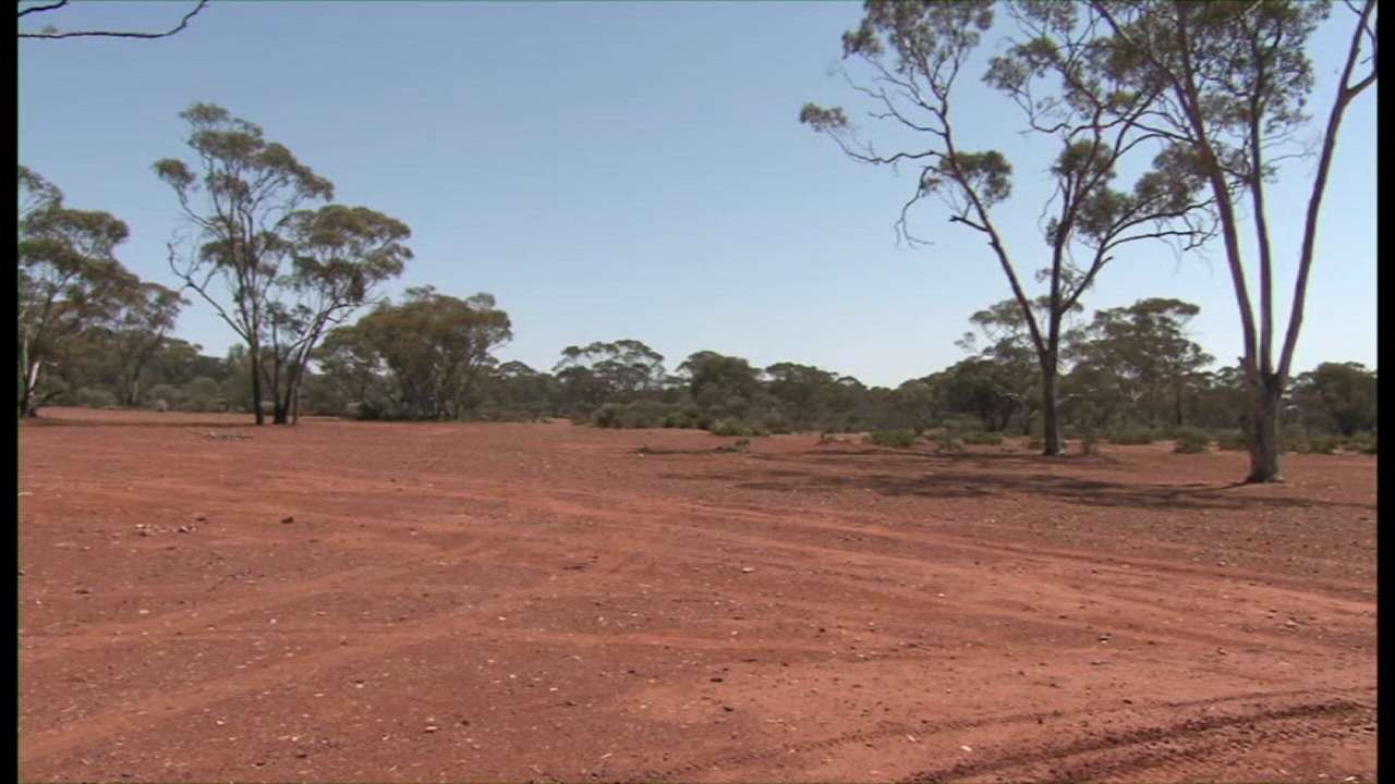 Keeping Language Alive