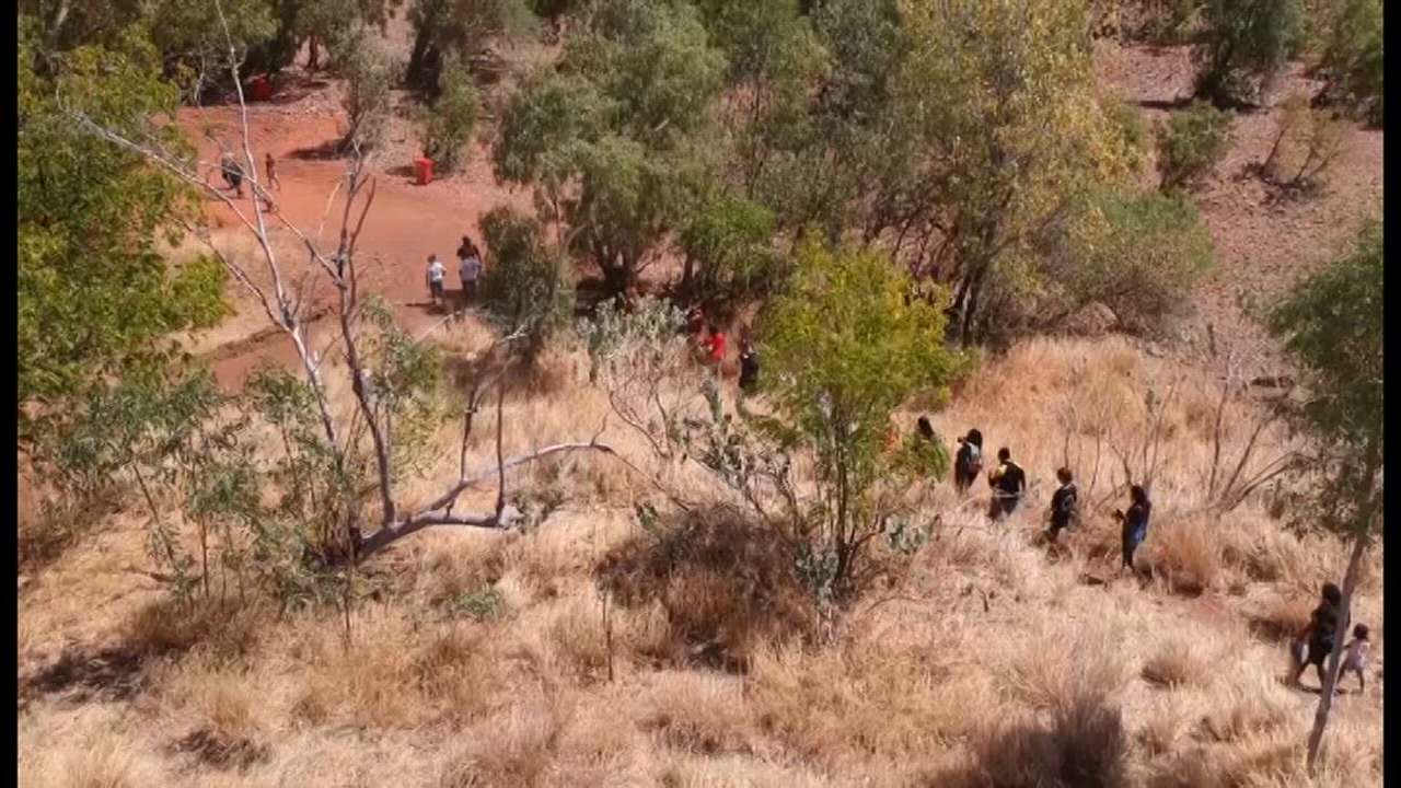 Freedom Day Festival 2018: Dallas Woods (Full Set)