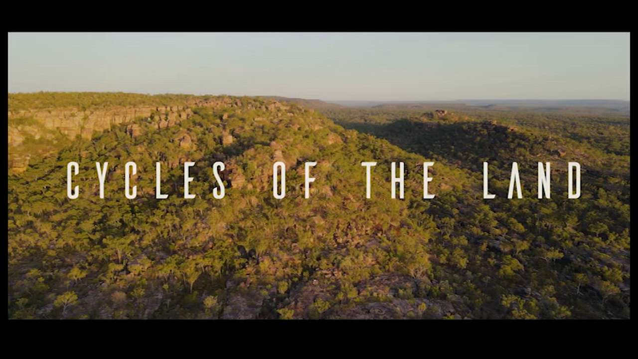 IOP | Cycles of The Land - Manmoyi, Mamadawerre & Kabulwarnamyo, NT