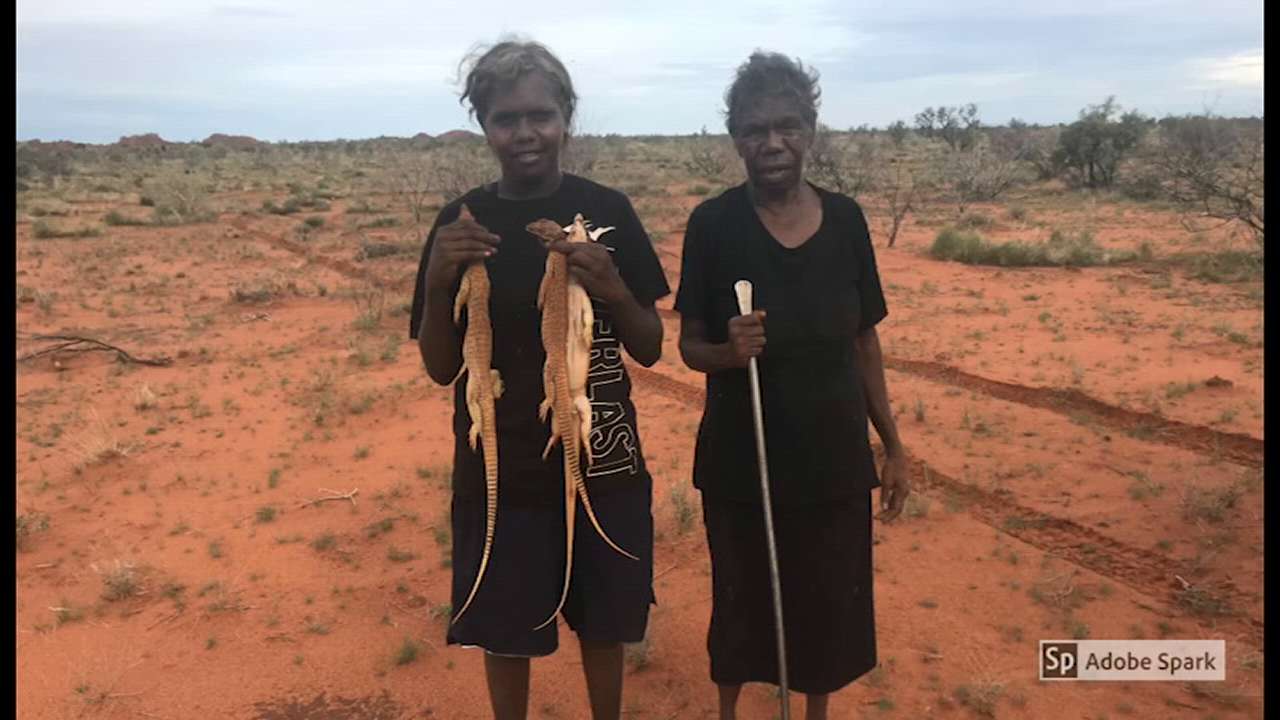 What Do Goannas Eat?