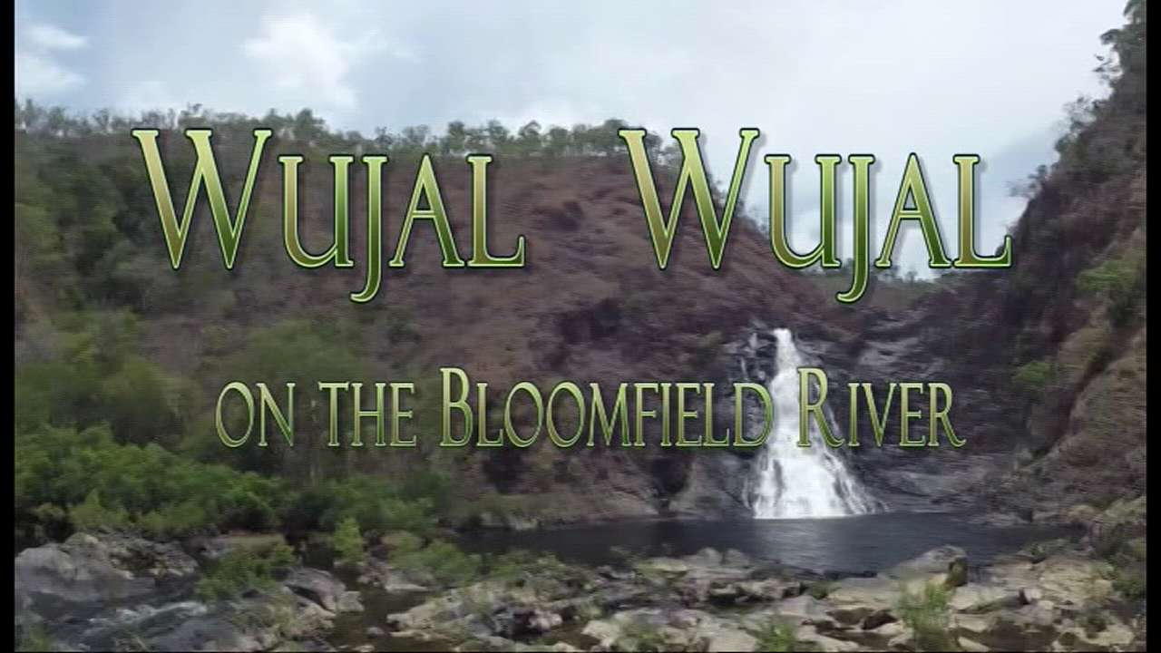 Wujal Wujal 2015 Rodeo