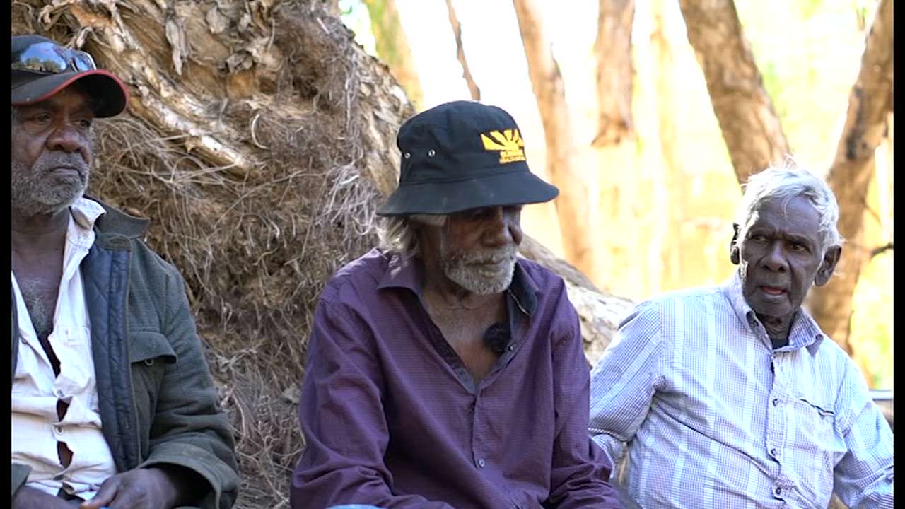 Roy's Story